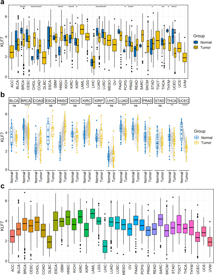 TCGAplot: an R package for integrative pan-cancer analysis and visualization of TCGA multi-omics ...