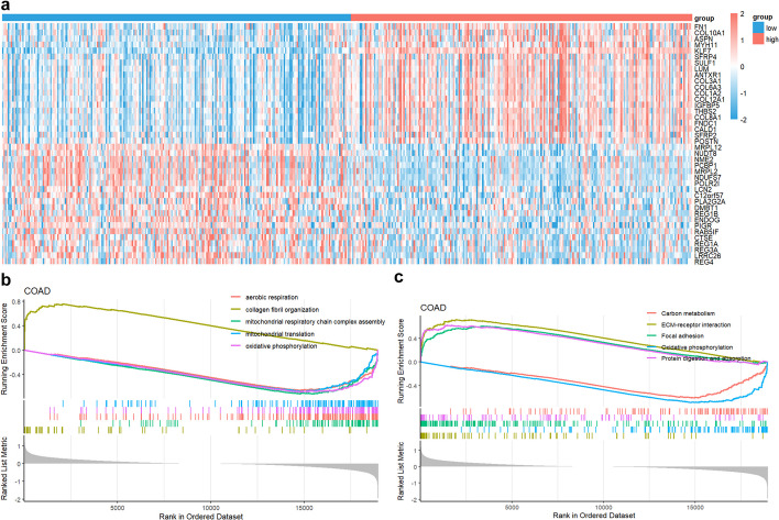 TCGAplot: an R package for integrative pan-cancer analysis and visualization of TCGA multi-omics ...