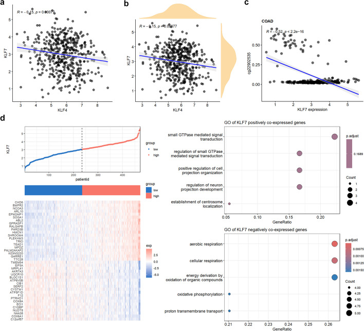 TCGAplot: an R package for integrative pan-cancer analysis and visualization of TCGA multi-omics ...