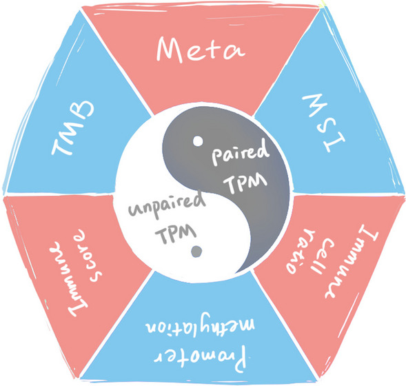 TCGAplot: an R package for integrative pan-cancer analysis and visualization of TCGA multi-omics ...