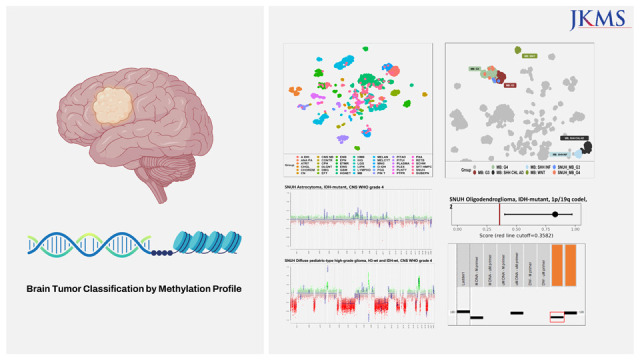 Brain Tumor Classification by Methylation Profile - PMC