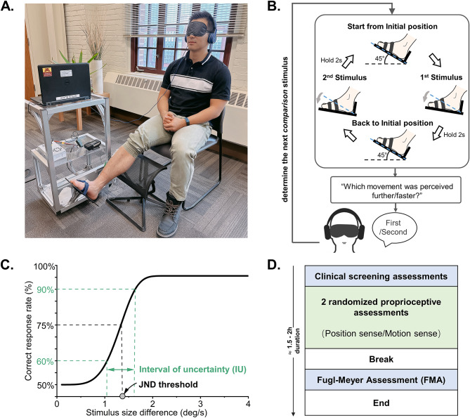 Robot-aided assessment and associated brain lesions of impaired ankle proprioception in chronic ...