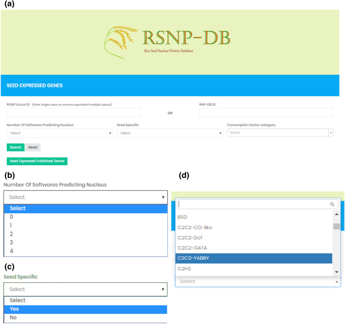 Analysis of rice nuclear-localized seed-expressed proteins and their database (RSNP-DB) - PMC