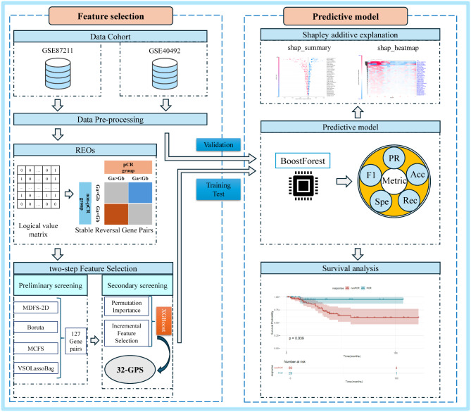 Predicting pathological response to neoadjuvant chemoradiotherapy in locally advanced rectal ...