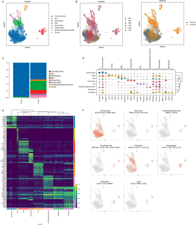Single-cell sequencing reveals cellular heterogeneity of nucleus pulposus in intervertebral disc ...