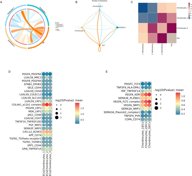 Single-cell sequencing reveals cellular heterogeneity of nucleus pulposus in intervertebral disc ...