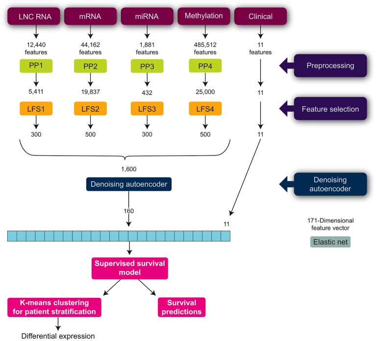 Autoencoder-based multimodal prediction of non-small cell lung cancer survival - PMC