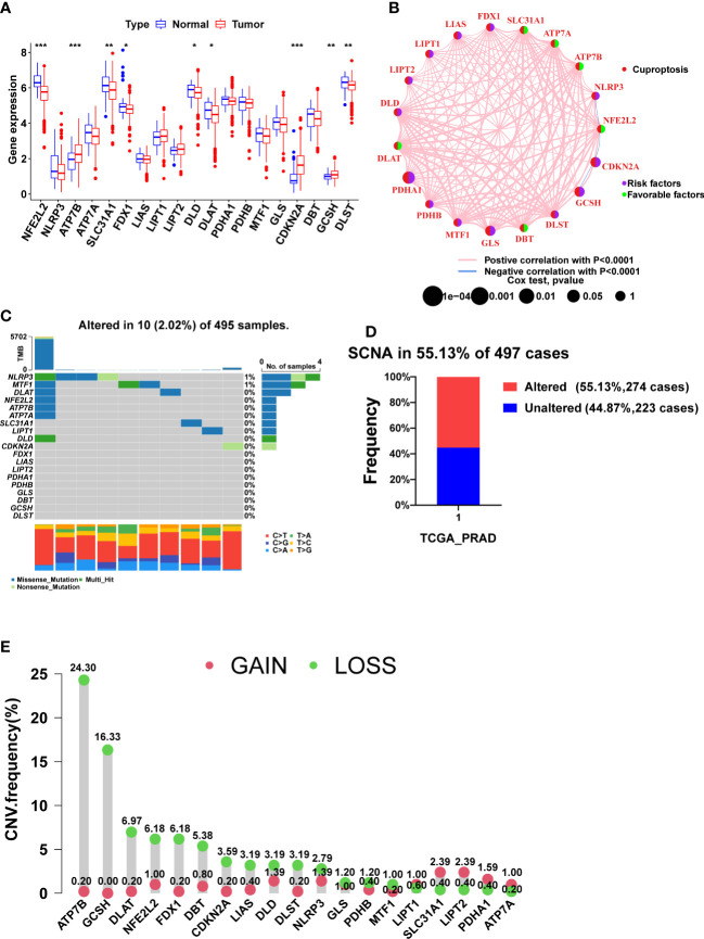 Identification Of Novel Molecular Subtypes And A Signature To Predict