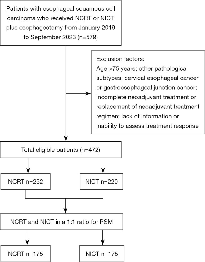 Comparison of neoadjuvant chemotherapy plus immunotherapy versus chemoradiotherapy for ...