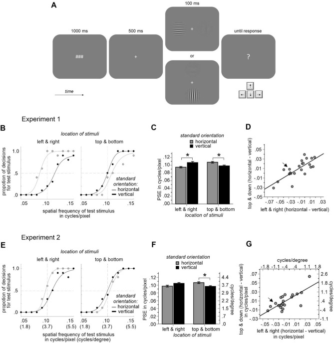 Human perception of spatial frequency varies with stimulus orientation and location in the ...