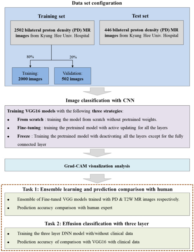 Automatic detection and visualization of temporomandibular joint effusion with deep neural ...