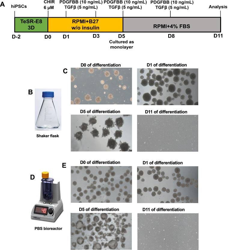 Dynamic three dimensional environment for efficient and large scale ...