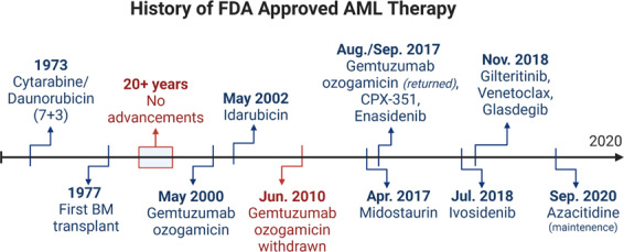 Targeting multiple signaling pathways: the new approach to acute myeloid leukemia therapy - PMC