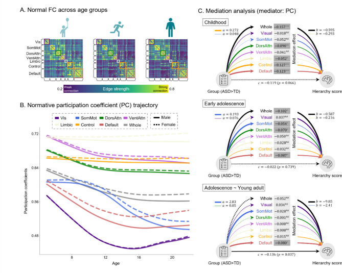 Atypical maturation of the functional connectome hierarchy in autism - PMC