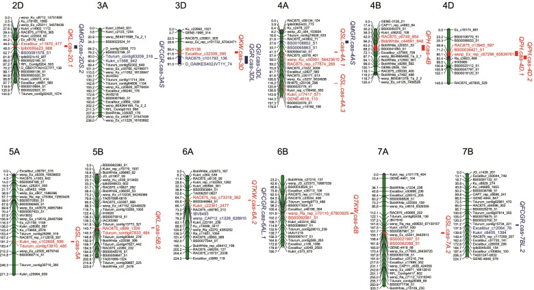 Combining QTL mapping and gene co-expression network analysis for prediction of candidate genes ...
