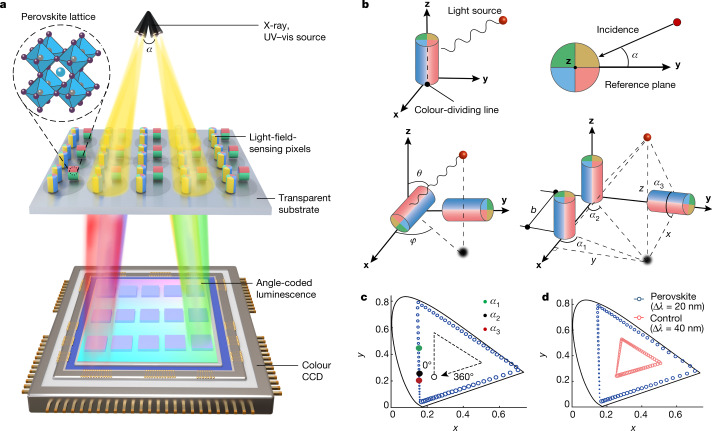 X-ray-to-visible light-field detection through pixelated colour ...