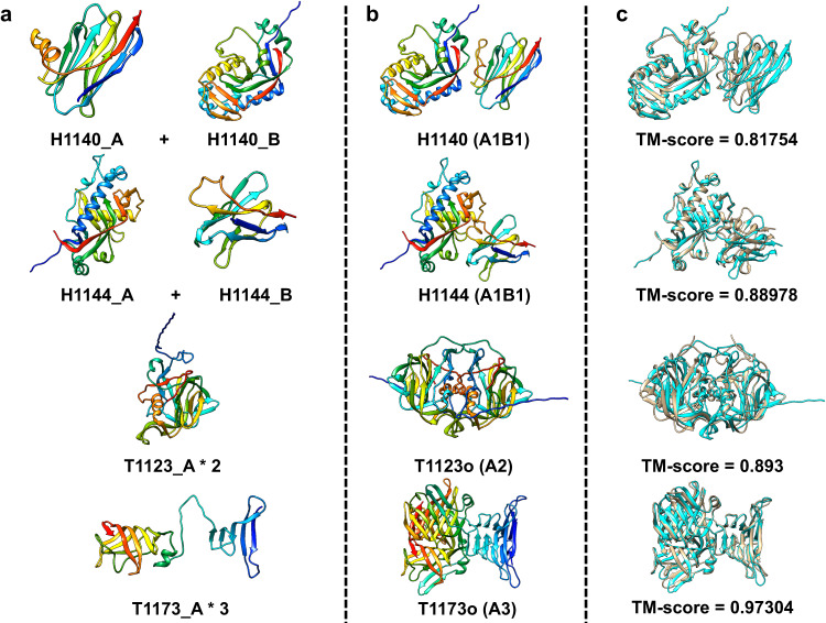 Enhancing alphafold-multimer-based protein complex structure prediction with MULTICOM in CASP15 ...