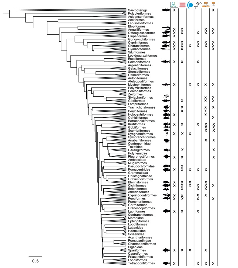Fig. 5.
