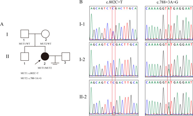 Compound heterozygous mutations in TBPL2 were identified in an ...