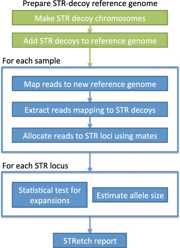 STRetch: detecting and discovering pathogenic short tandem repeat expansions - PMC
