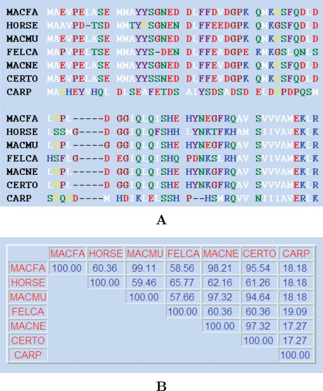 FASMA: A Service to Format and Analyze Sequences in Multiple Alignments - PMC