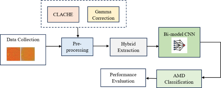 Revolutionizing AMD detection Bi model CNNs and hybrid feature ...
