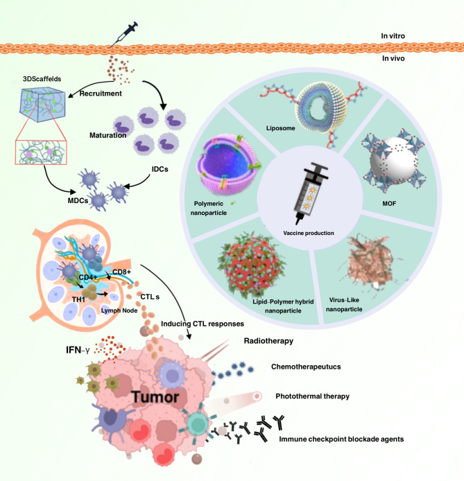 Targeting lymph node delivery with nanovaccines for cancer immunotherapy: recent advances and ...