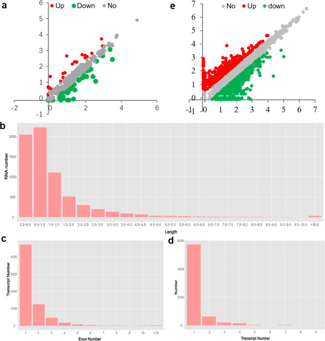 Integrated microRNA and whole-transcriptome sequencing reveals the involvement of small and long ...
