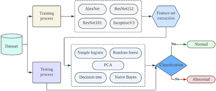Enhancing cervical cancer detection and robust classification through a ...