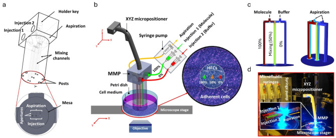 Microfluidic mixing probe: generating multiple concentration-varying flow dipoles - PMC