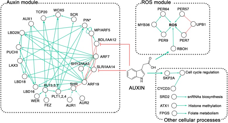 FIGURE 5