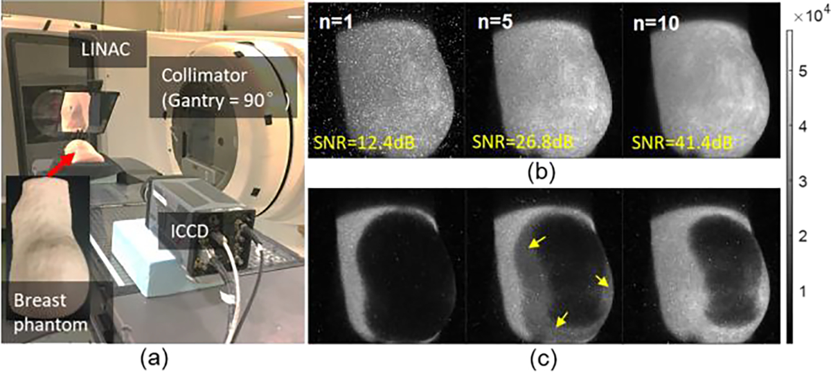 Photon-limited Cherenkov imaging of radiation therapy dose - PMC
