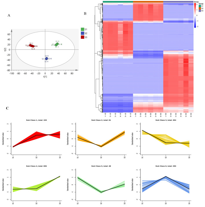 Integrative metabolomic and transcriptomic analyses reveals the accumulation patterns of key ...