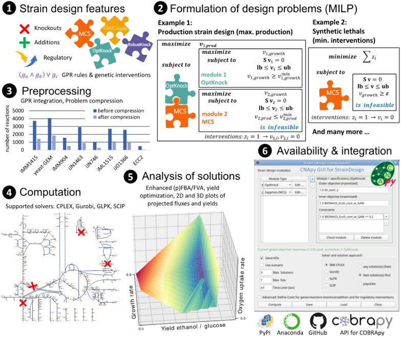 StrainDesign: a comprehensive Python package for computational design ...