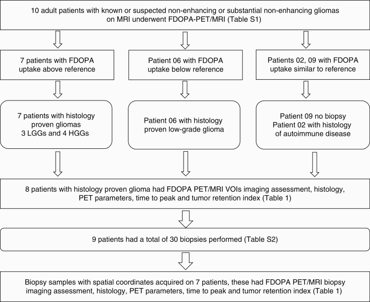 Dynamic 18F-FDOPA-PET/MRI for the preoperative evaluation of gliomas: correlation with ...