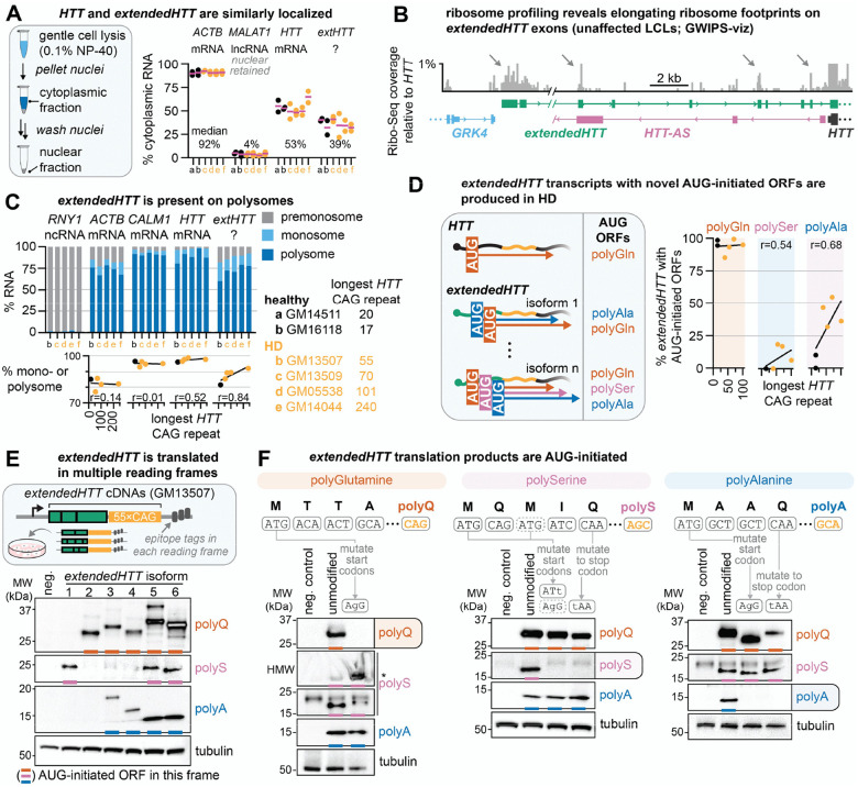 A distal promoter and aberrant splicing enable canonical translation of ...