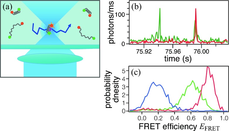 Single-molecule fluorescence-based analysis of protein conformation, interaction, and ...