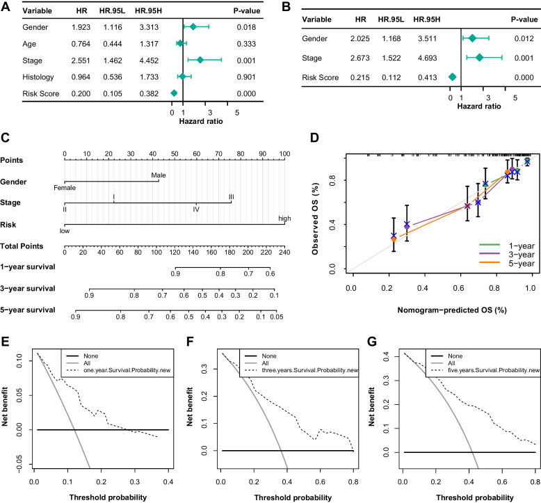 A novel pyroptosis-related gene signature exhibits distinct immune ...