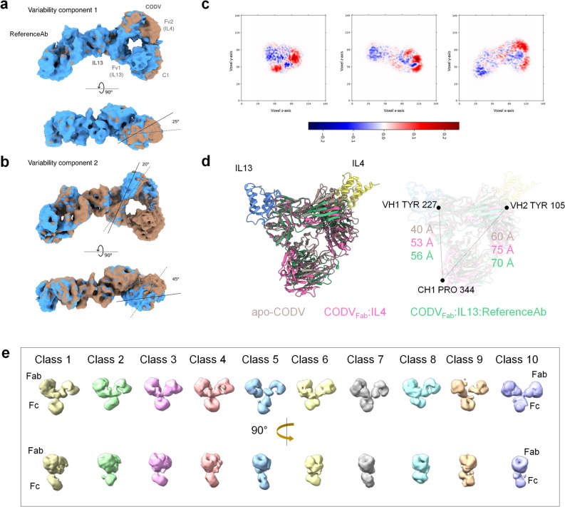 Structural insights into the bi-specific cross-over dual variable antibody architecture by cryo ...