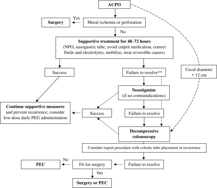 Percutaneous endoscopic cecostomy for management of Ogilvie’s syndrome: a case series and ...