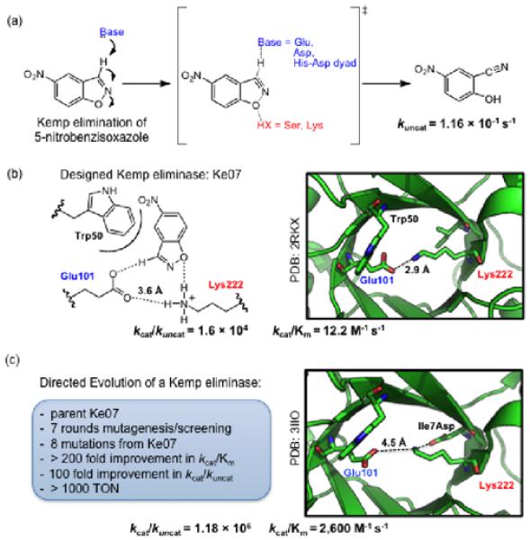 Optimizing Non-natural Protein Function with Directed Evolution - PMC Optimizing Non-natural Protein Function with Directed Evolution - PMC