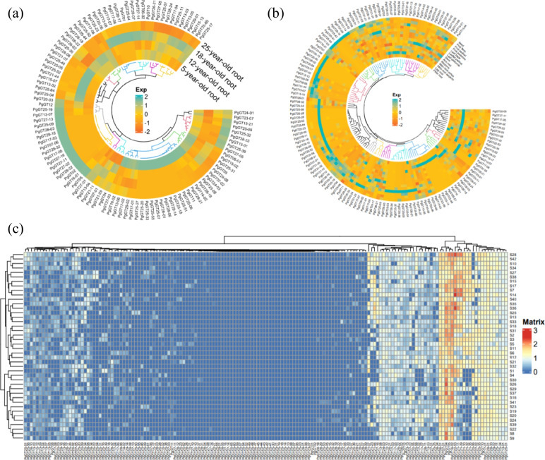 Genome-wide characterization, evolutionary analysis, and expression ...