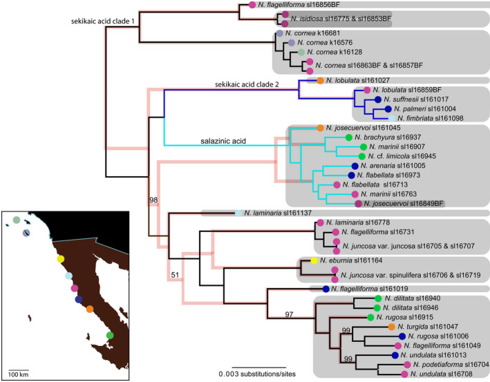 Species boundaries in the messy middle—A genome‐scale validation of ... Species boundaries in the messy middle—A genome‐scale validation of ...