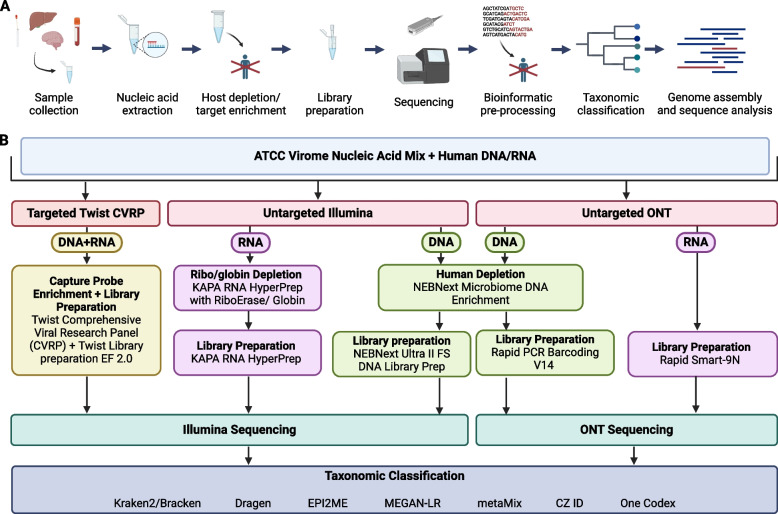Evaluating metagenomics and targeted approaches for diagnosis and surveillance of viruses - PMC
