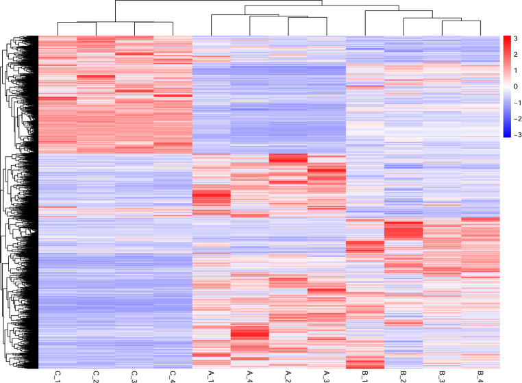 Study on Preclinical Safety and Toxic Mechanism of Human Umbilical Cord Mesenchymal Stem Cells ...