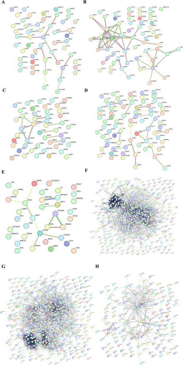 Identification of hub genes based on integrated analysis of single-cell ...
