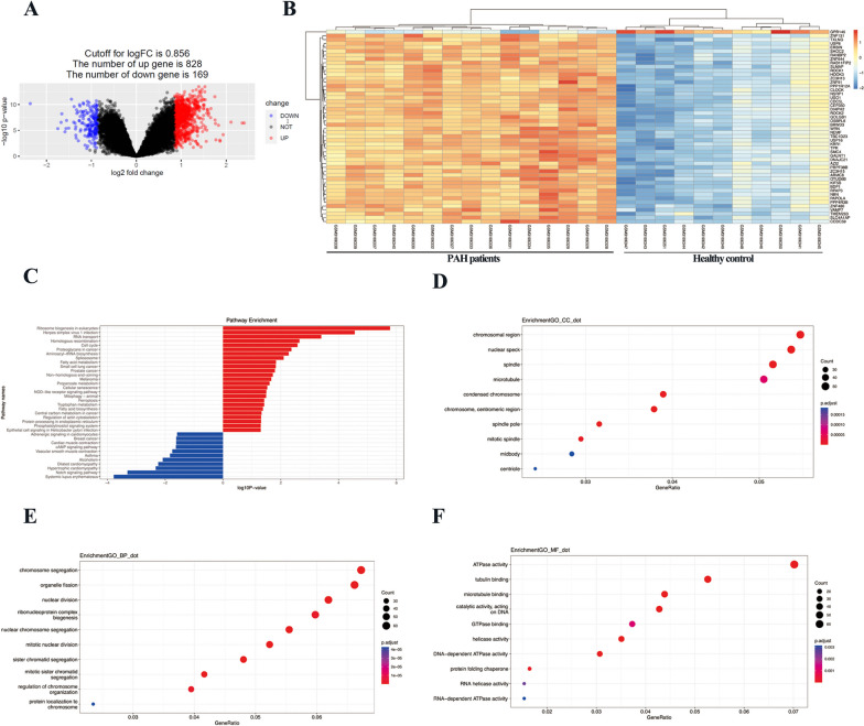 Identification of hub genes based on integrated analysis of single-cell ...