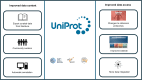 UniProt: the Universal Protein Knowledgebase in 2025 - PubMed