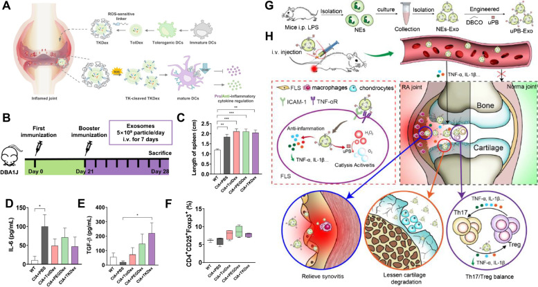 Disease-microenvironment modulation by bare- or engineered-exosome for rheumatoid arthritis ...
