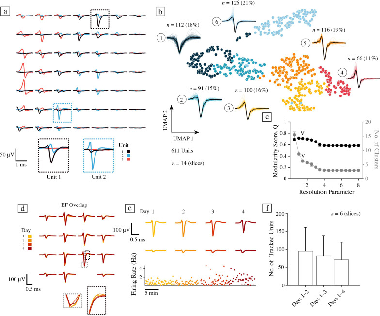 Functional imaging of brain organoids using high-density microelectrode arrays - PMC